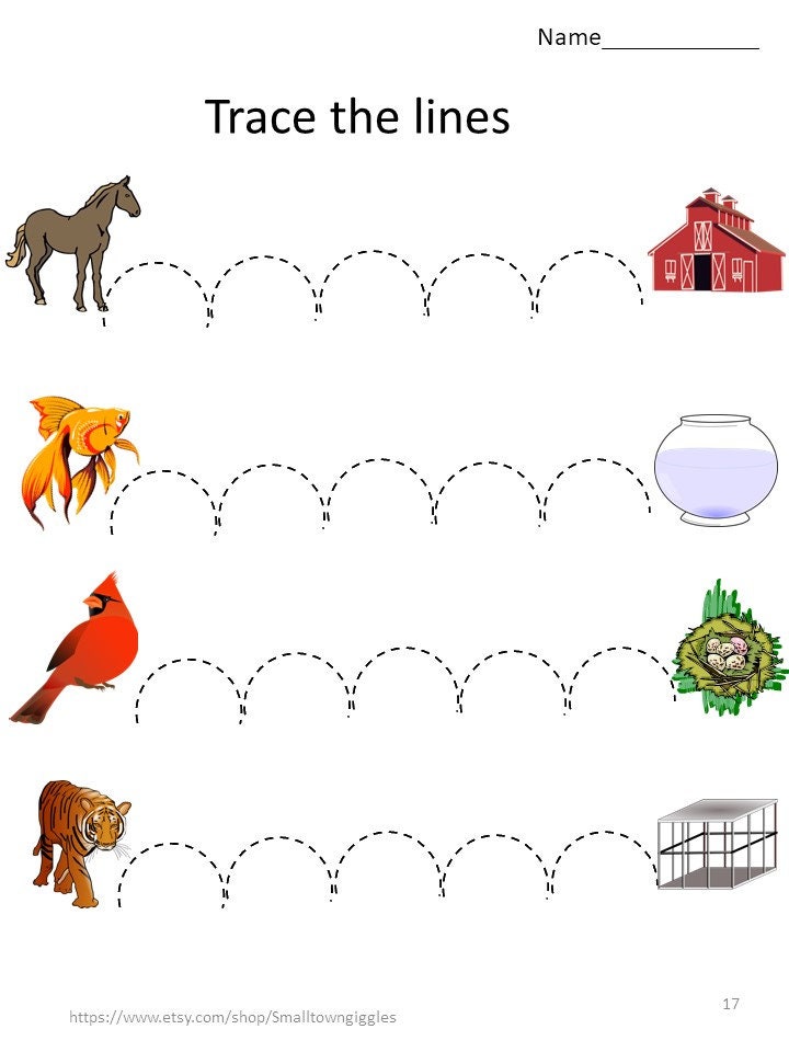 Tracing Worksheets, Fine Motor Skill Activities,sorting Everyday ...