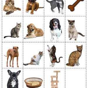 Dogs Cats Bingo Games, Distance Learning, Digital Download Printable ...