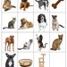 Dogs Cats Bingo Games, Distance Learning, Digital Download Printable ...