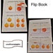 Fall Counting Pumpkins Interactive Cut and Paste Notebook Flip Book ...