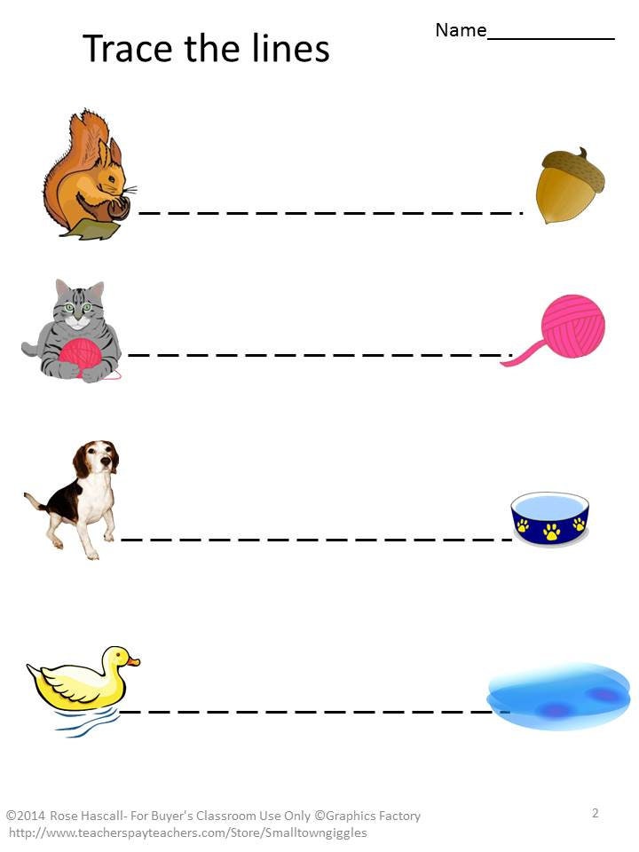 Animals Tracing Lines Worksheets Internet Activities P-K,K, Special ...