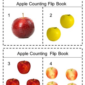 Apple Counting Interactive Cut and Paste Flip Book Special Education ...