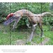 Dinosaur Realistic Photos Cut and Paste Puzzles T-rex, Pre-k. Preschool ...