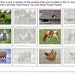 Teaching Materials, Farm Animals, Cut and Paste, Printable Puzzles ...