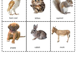 Farm Memory Matching Game Early Childhood, Kindergarten, Special ...