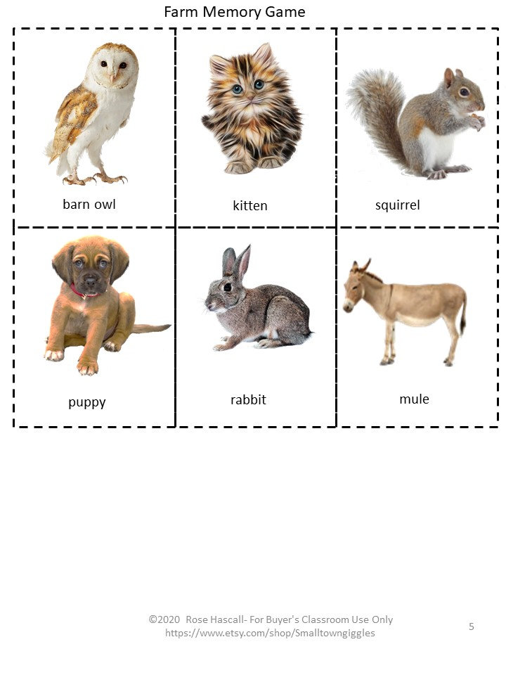 Farm Memory Matching Game Early Childhood Kindergarten - Etsy
