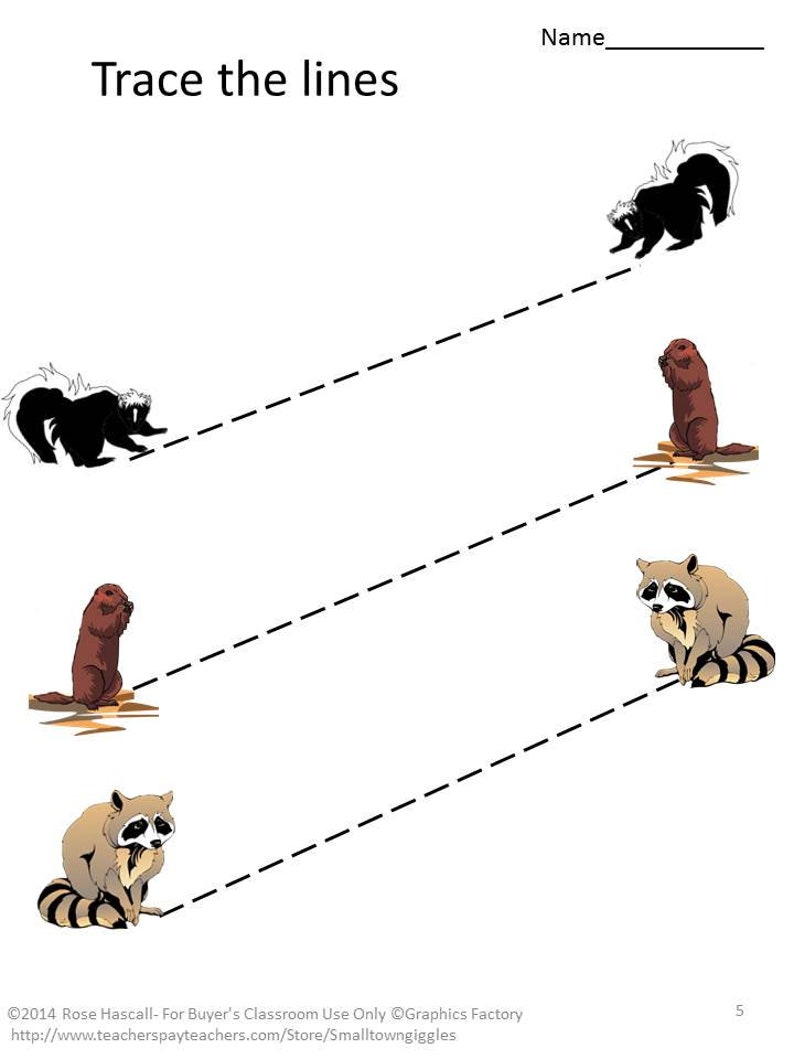 Animals Tracing Lines Worksheets Internet Activities P-K,K, Special ...