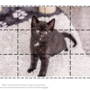 Cats and Kittens Cut and Paste Puzzles Fine Motor Skills Preschool ...