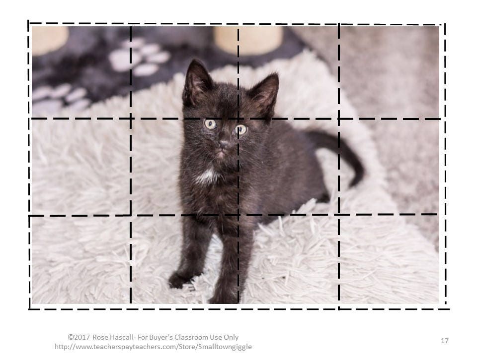 Cats and Kittens Cut and Paste Puzzles Fine Motor Skills Preschool ...