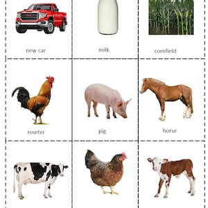 Farm Memory Matching Game Early Childhood, Kindergarten, Special ...