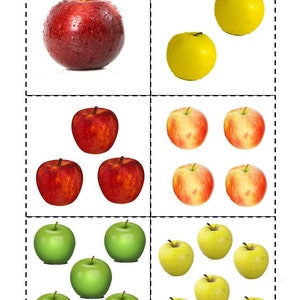 Apple Counting Interactive Cut and Paste Flip Book Special Education ...