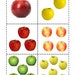 Apple Counting Interactive Cut and Paste Flip Book Special Education ...