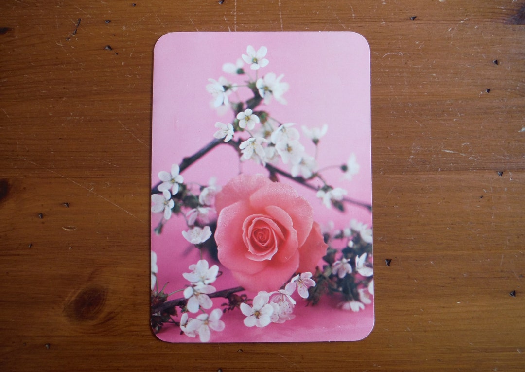 Mod Vintage Floral Happy Birthday Card 1970's Pink Roses Flower Friend ...