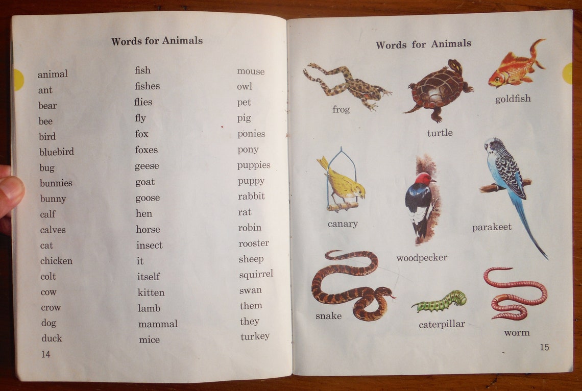 Vintage Child's My Little Pictionary Book 1970's - Etsy