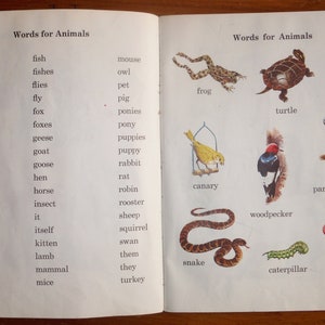 Vintage Child's My Little Pictionary Book 1970's Children's School ...