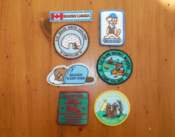 Vintage Boy Scout Beavers Badges Lot Boy Scouts Beaver Cub - Etsy