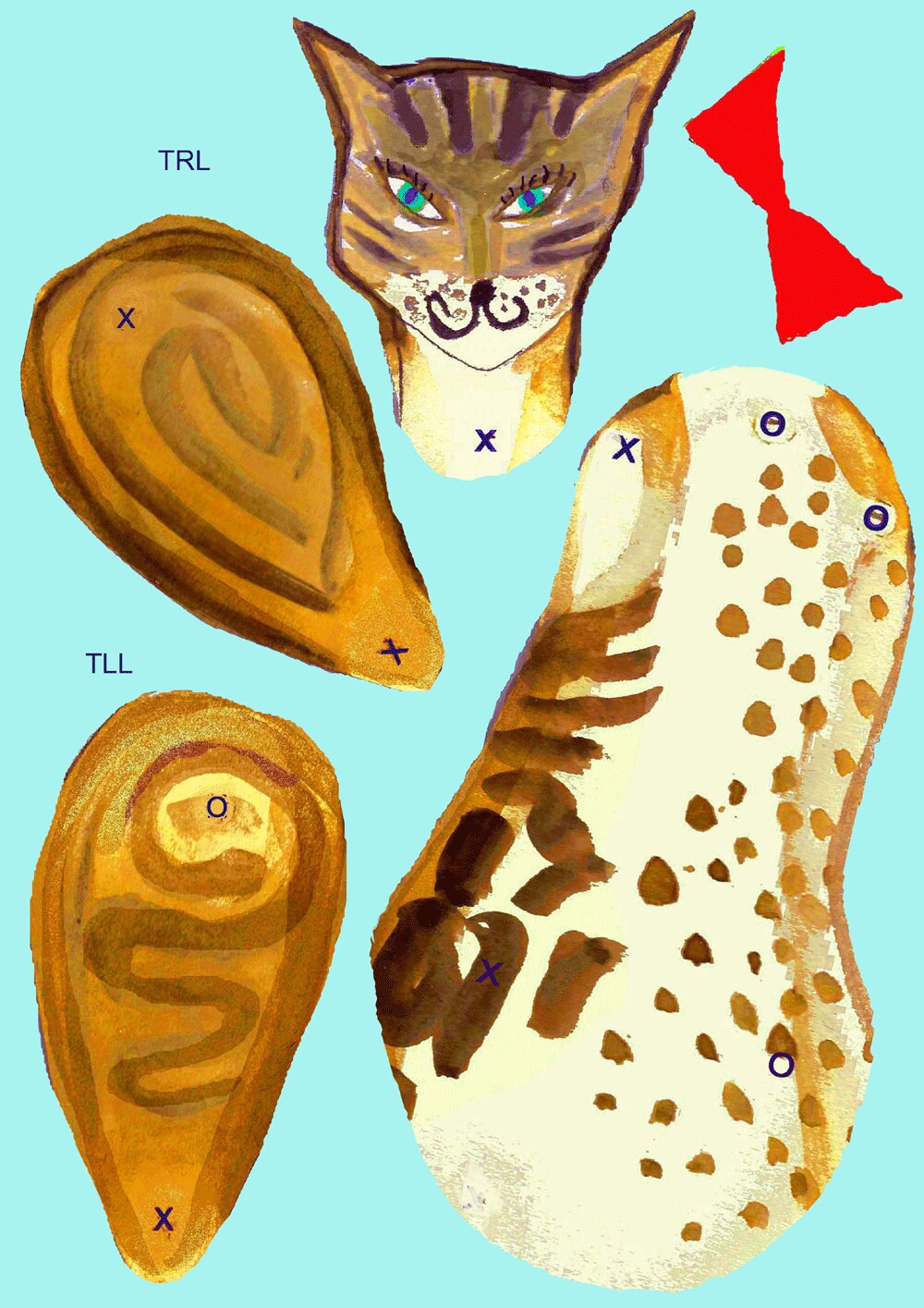 The Articulated Cat Puppet Kit - Etsy