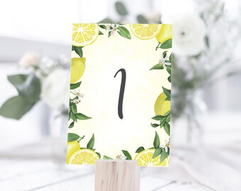 Lemon Table Numbers | Etsy