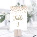 Blush Pink and Gold Confetti Table Numbers Wedding Bridal - Etsy