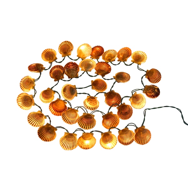 Scallop Shell Lights Strand - Etsy