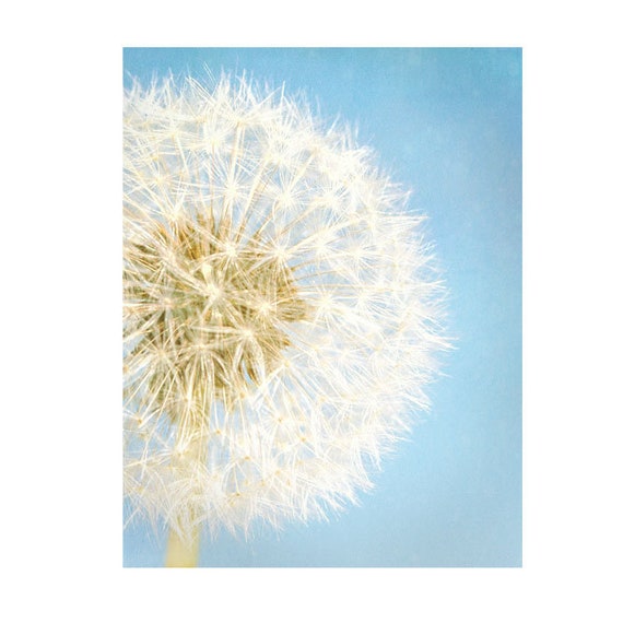 Dandelion Wall Art Dandelion Canvas Print Nursery Wall Art | Etsy