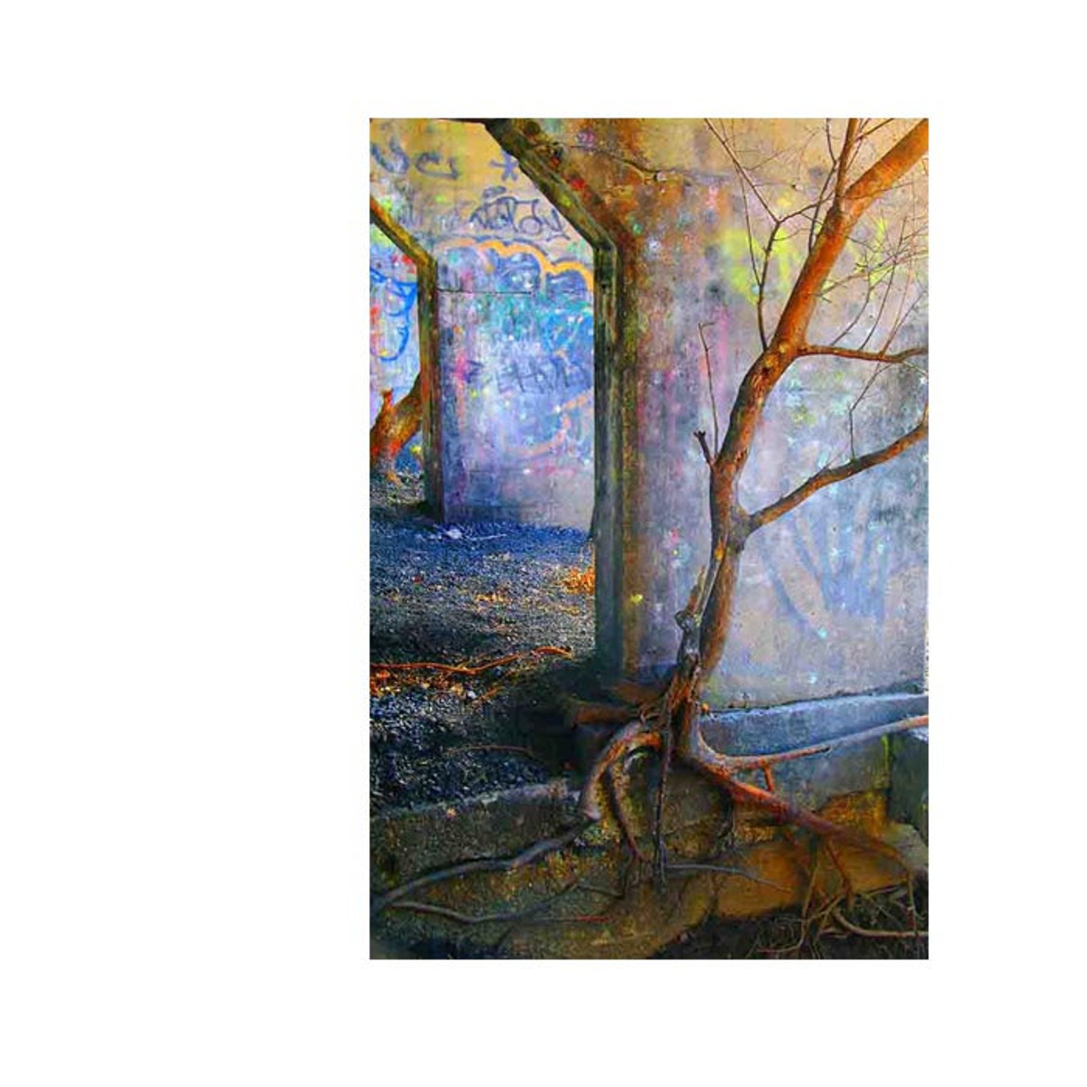 Graffiti Art, Tree Photography, Street Art, Urban Art, Graffiti Print ...