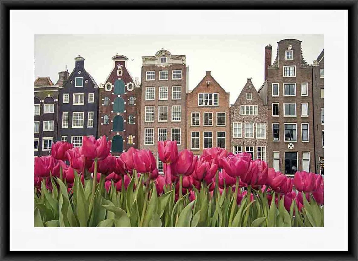Amsterdam Print Amsterdam Wall Art Amsterdam Tulip Print | Etsy