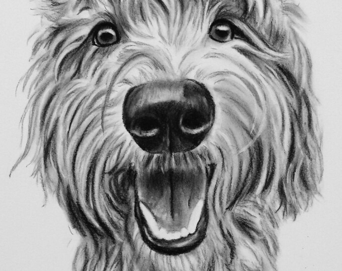 Custom Pet Portrait, Charcoal Pet Drawing, Pet Sketch, Labradoodle ...