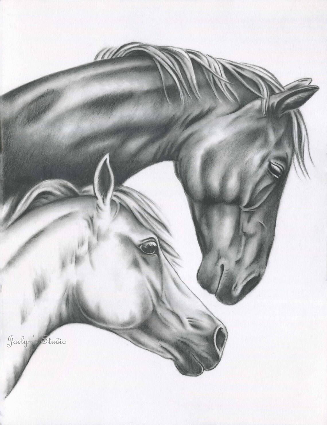 ORIGINAL Charcoal Horse Drawing 18x24 White Horse - Etsy