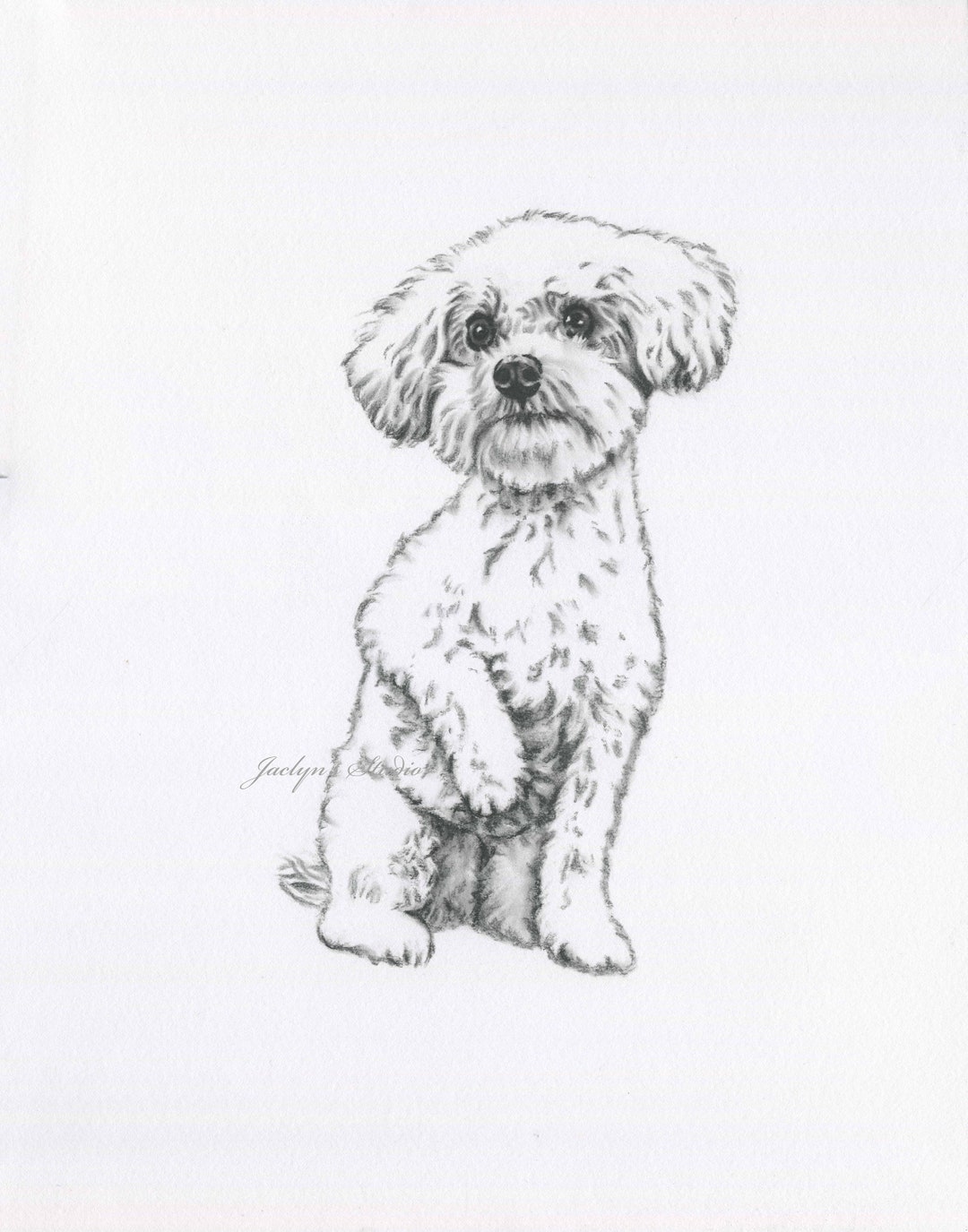 Bijon Art Bijon Drawing ORIGINAL Drawing Bijon Sketch Dog - Etsy