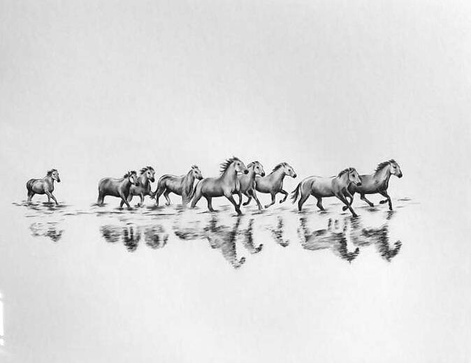 Wild Horses Drawing