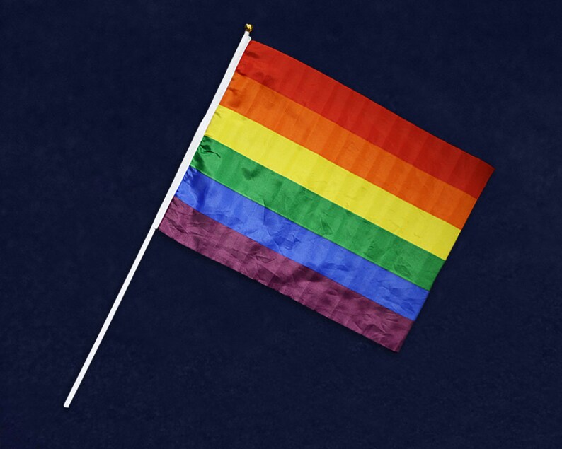 Small Rainbow Flags on a Stick Nylon Rainbow Flags for PRIDE - Etsy