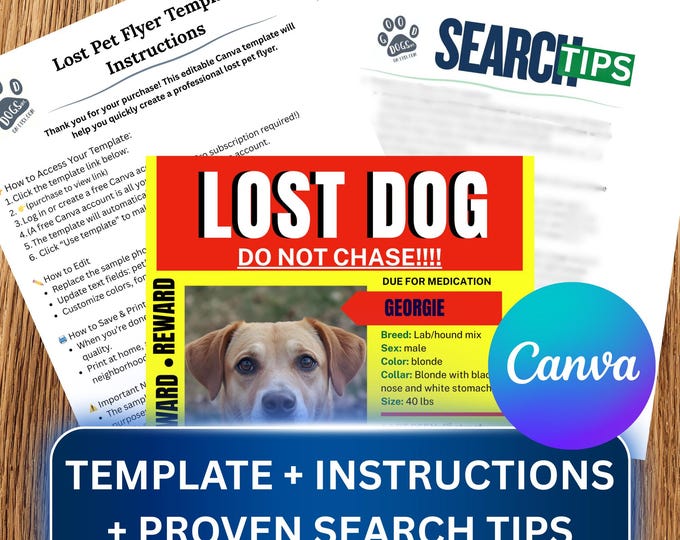 Missing Pet Poster Template: Canva Editable, Customizable, Instant ...