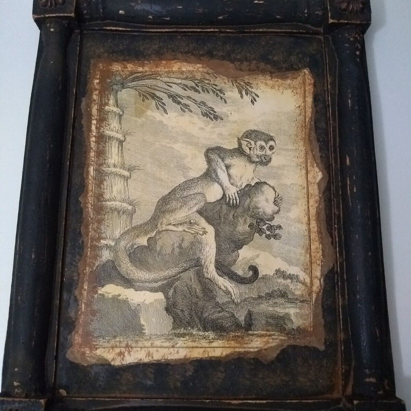 Monkey Picture Frame - Etsy