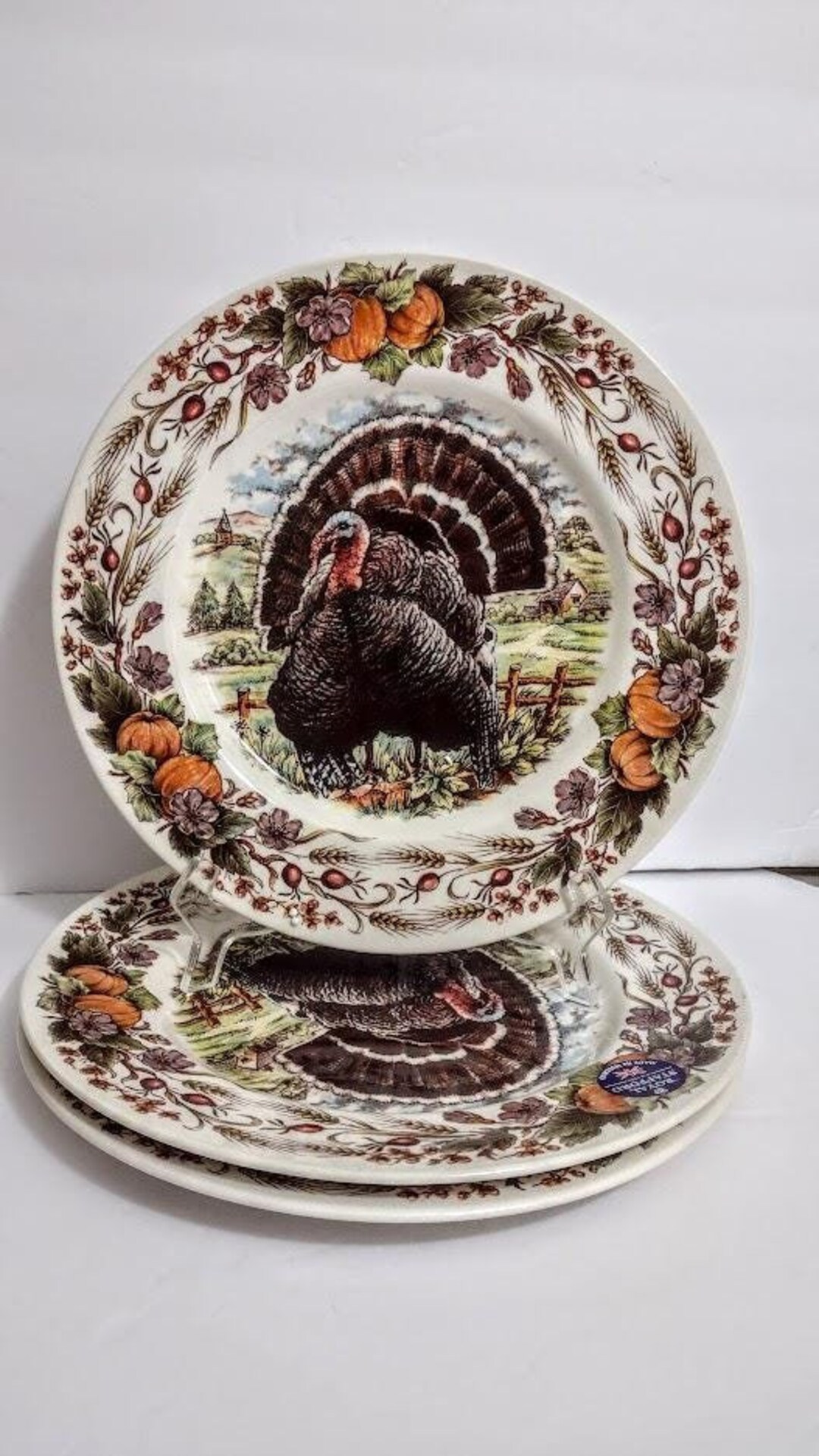 One Plate ROYAL STAFFORD BURSLEM Thanksgiving Turkey Pumpkins Wild Rose ...