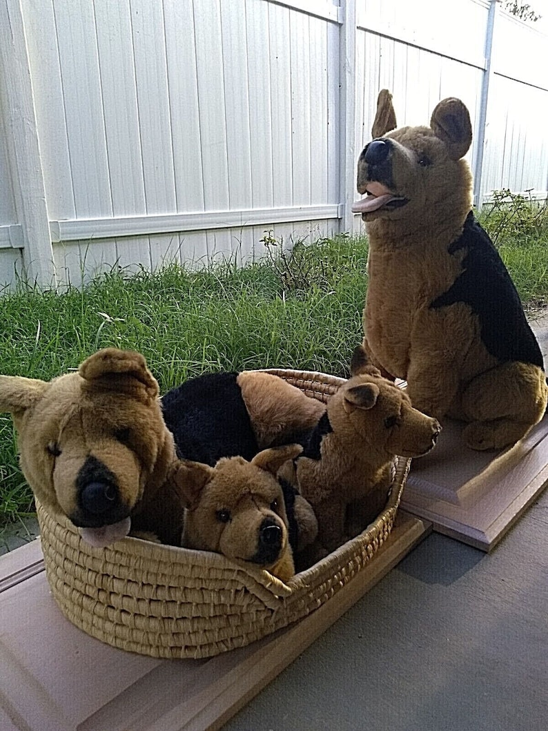 VTG Extra Large Prima E &J Classic Collection REALISTIC - Etsy