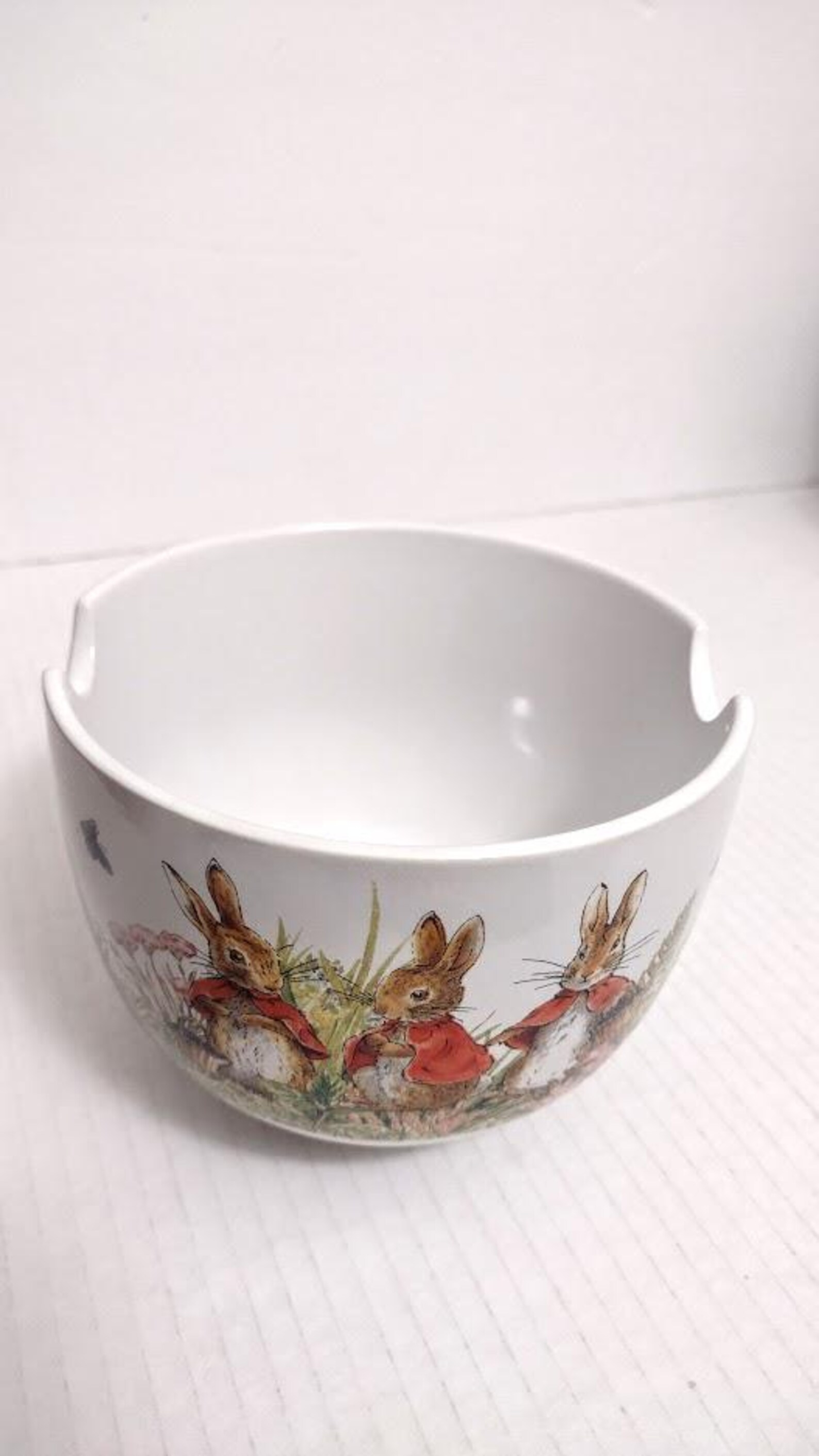 ONE Plate+napkin Beatrix Potter PETER Rabbit ZRIKE Brands Little ...