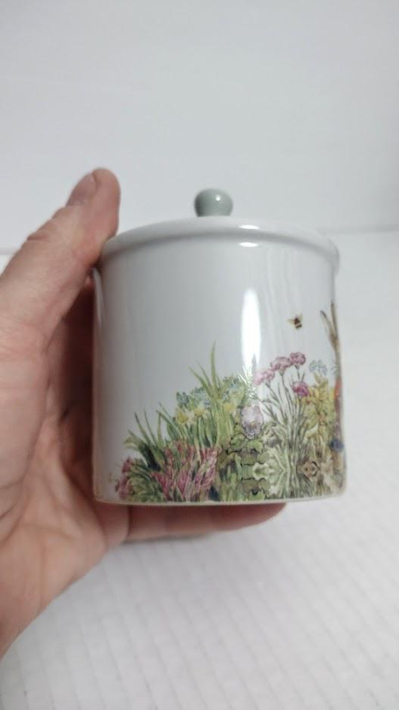 ONE Plate+napkin Beatrix Potter PETER Rabbit ZRIKE Brands Little ...