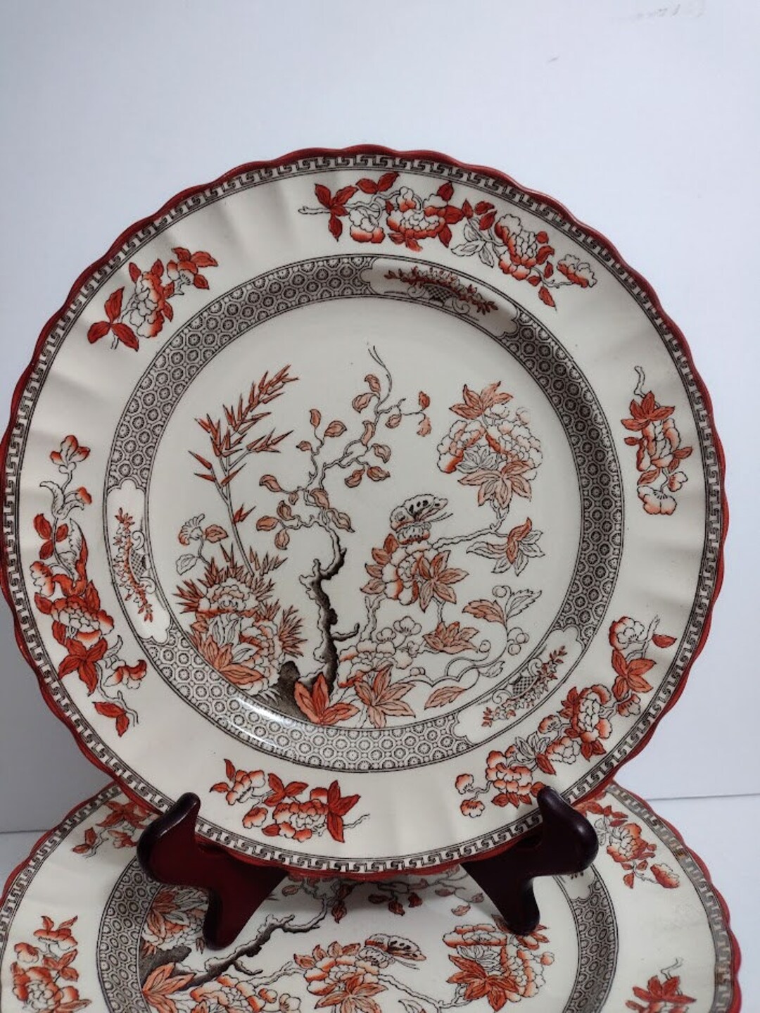 One Plate COPELAND SPODE Indian Tree DINNER Plate 10.25 - Etsy