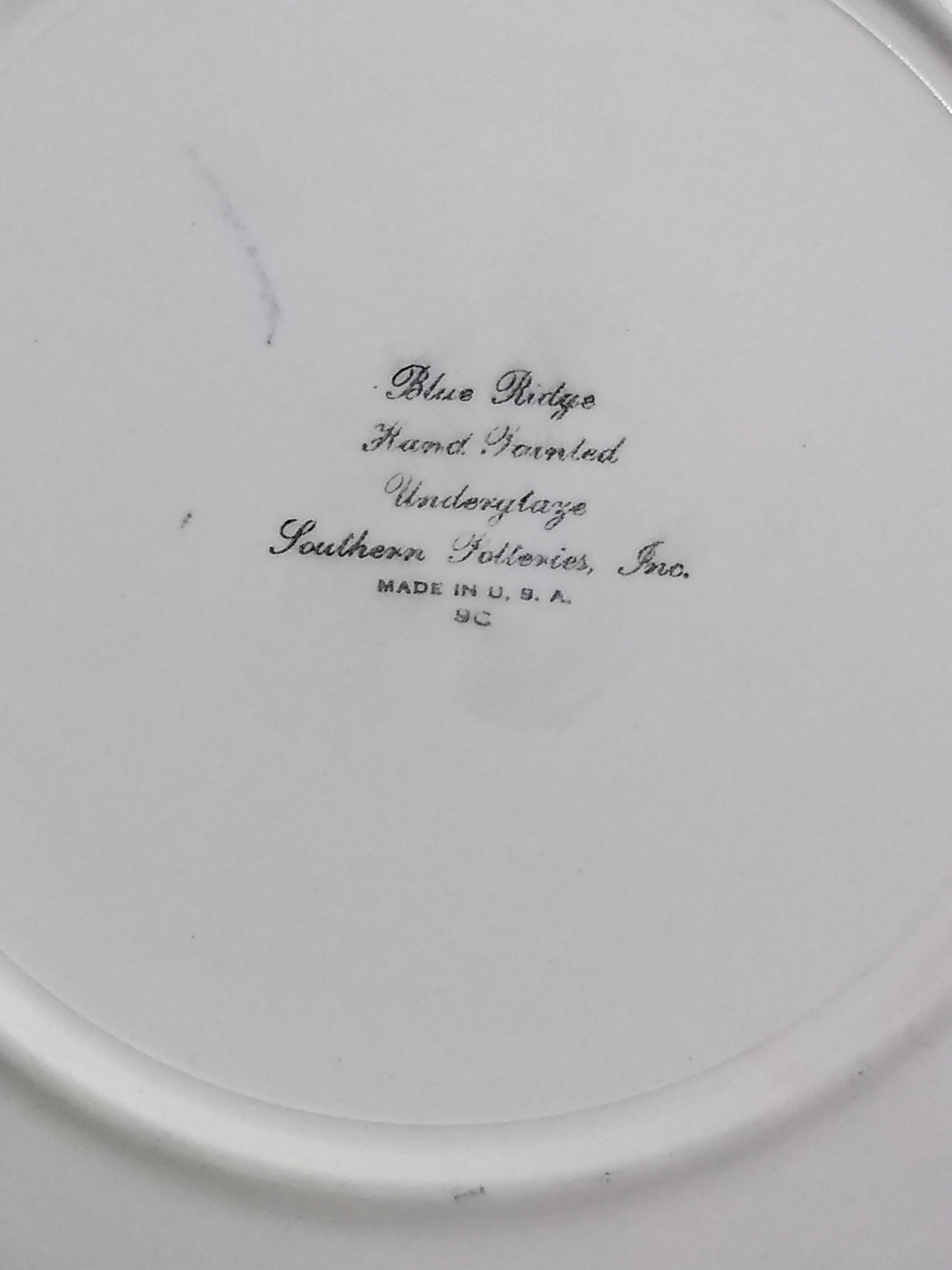 One Plate Rare Vintage Blue Ridge Hand Painted Underglaze Southern ...