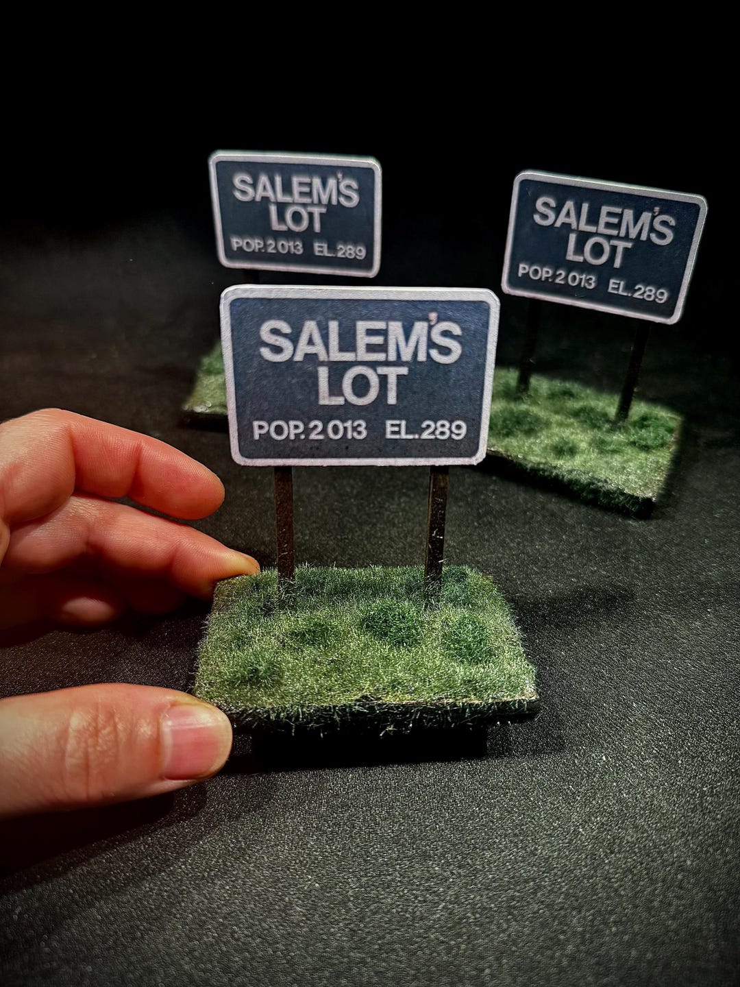 Miniature Salem's Lot Signs - 1979 Version - Etsy