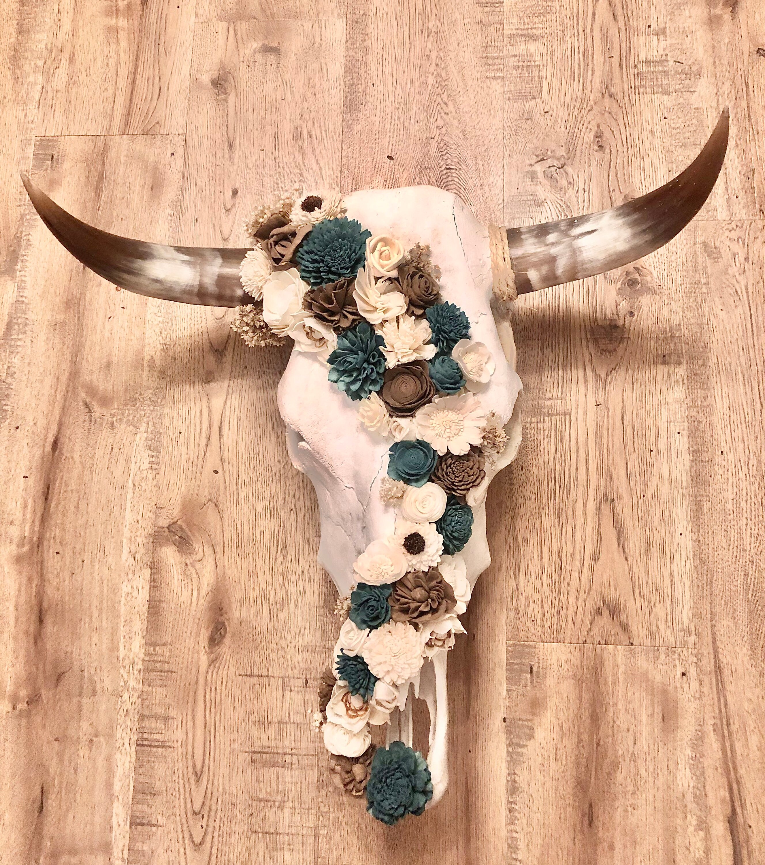 Real Cow Skull