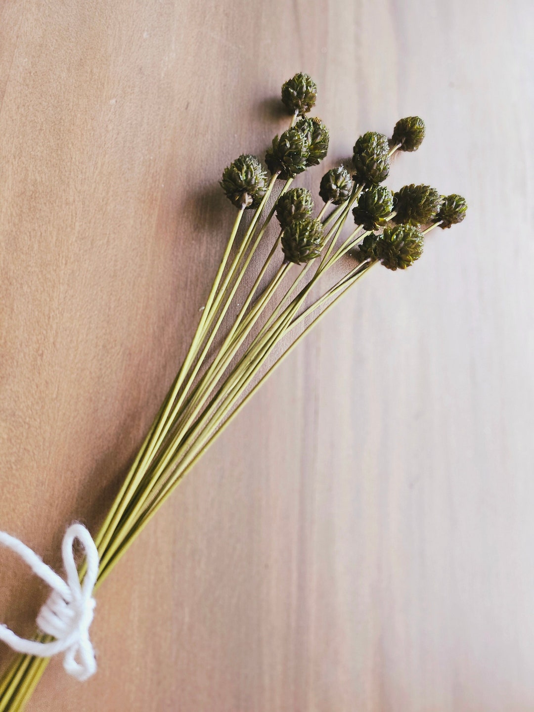 DIY Preserved Green "spike Balls" Filler / Preserved Greenery Filler ...