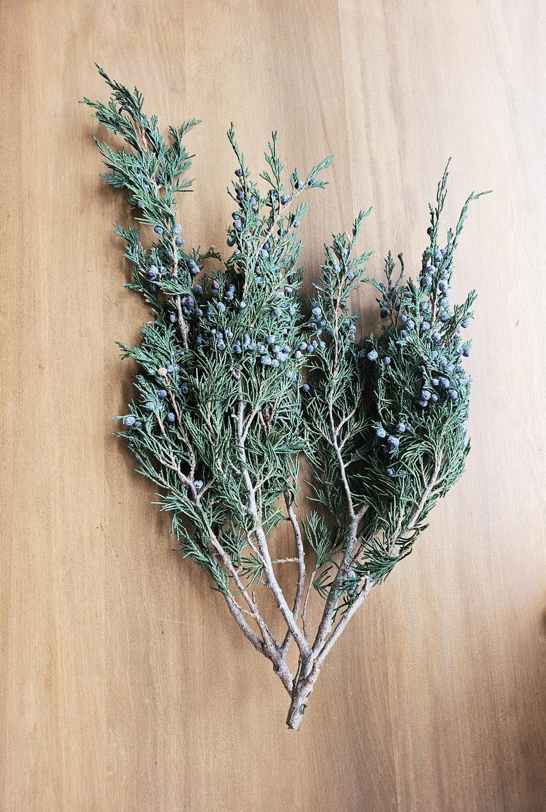 DIY Preserved Blueberry Juniper / Preserved Greenery Filler / Preserved ...