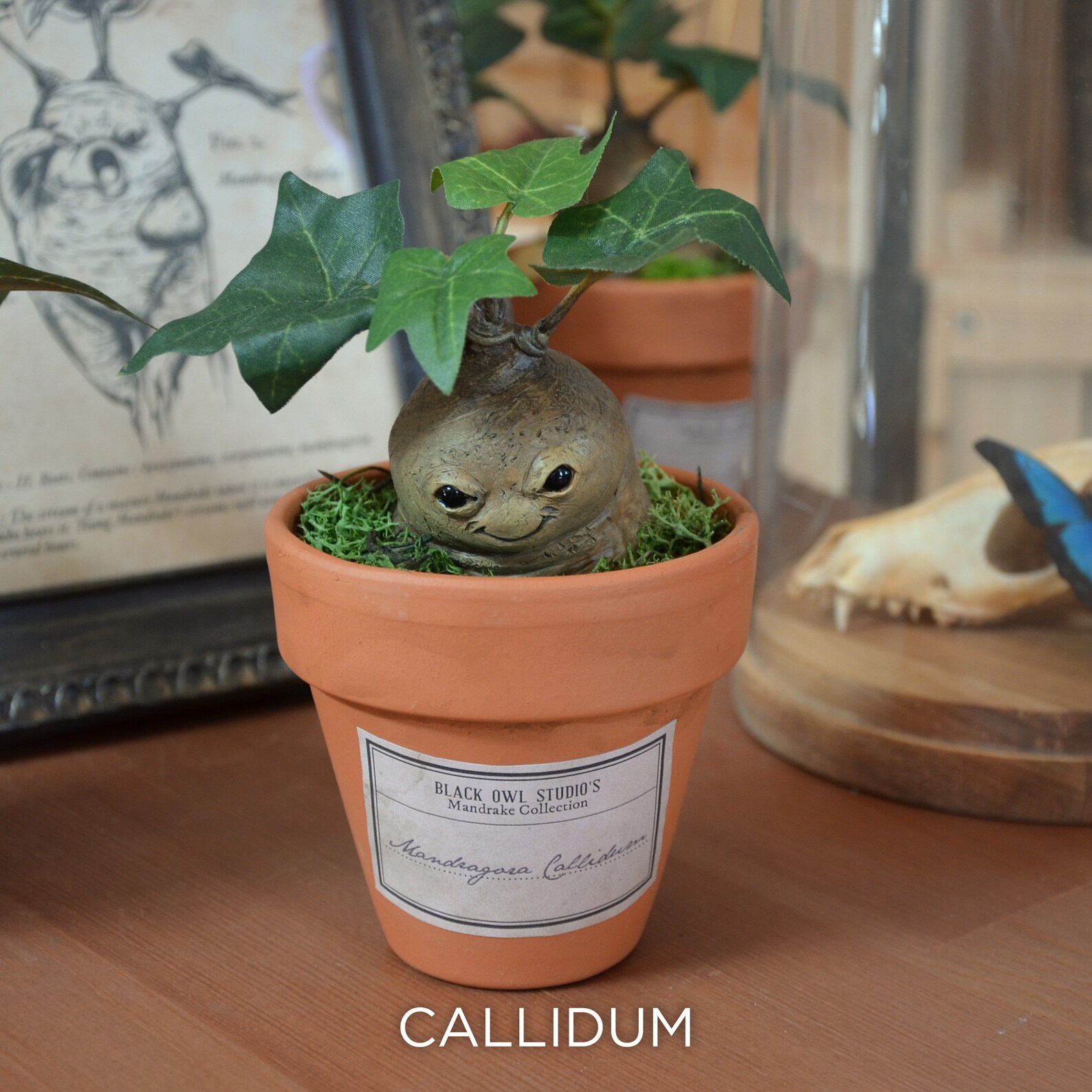 Mandrake With Pot - Hand Painted - Etsy