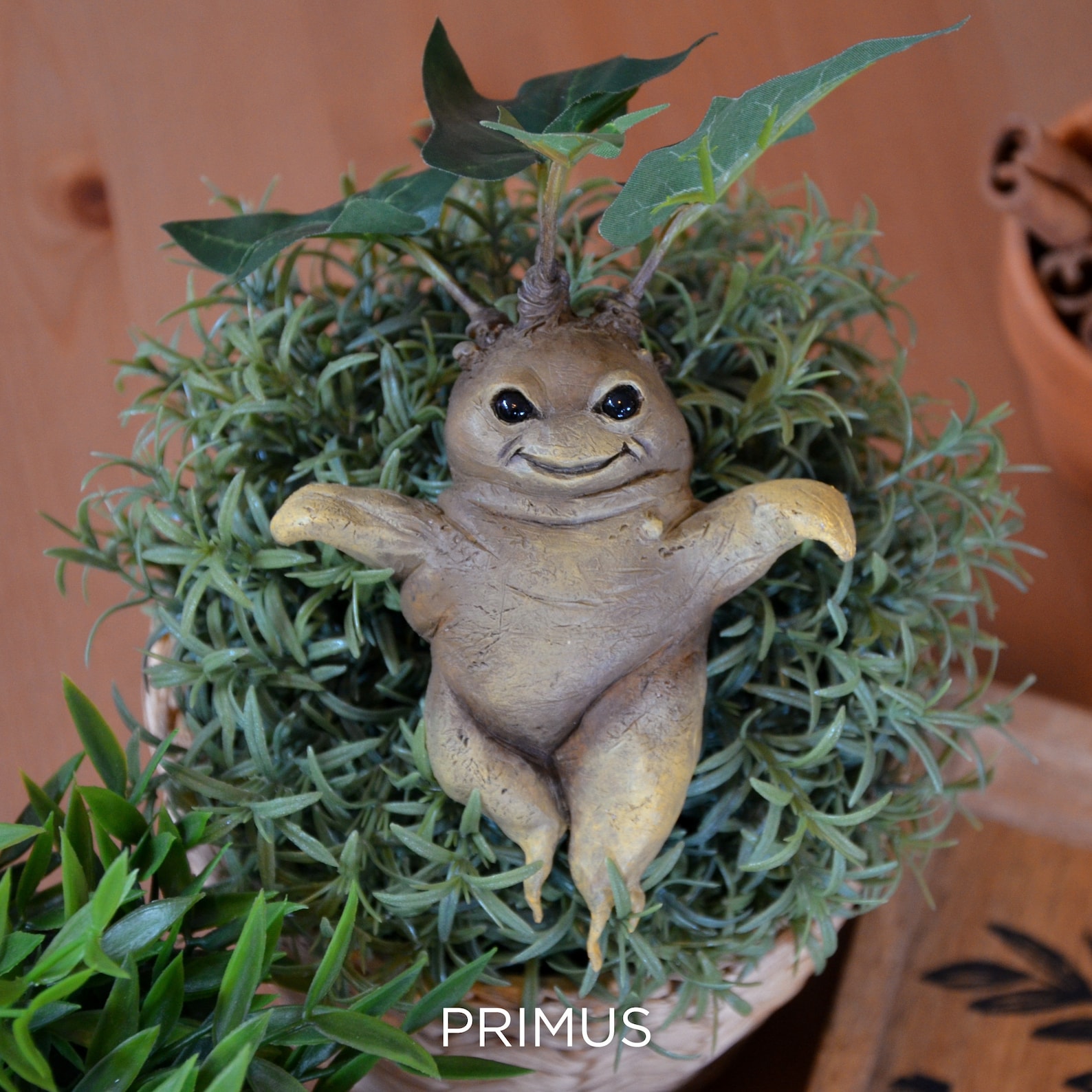 Mandrake With Pot Hand Painted - Etsy