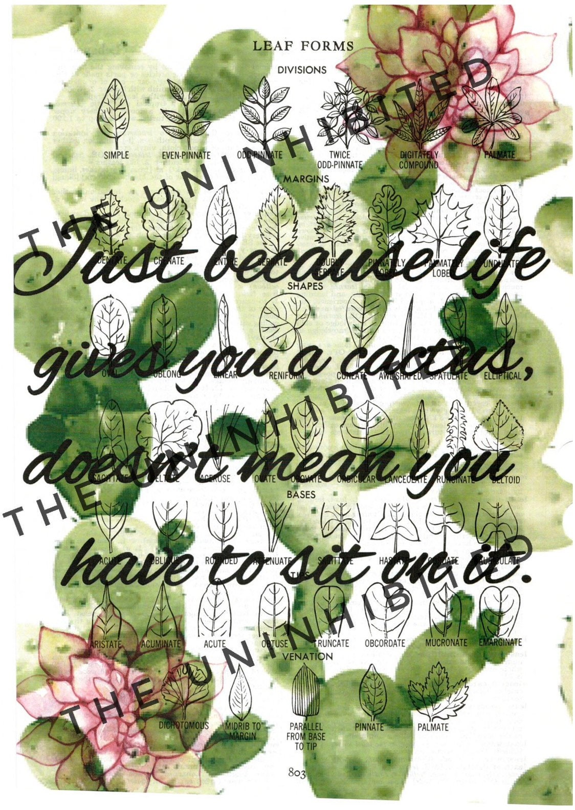 Just Because Life Gives You A Cactus That Doesn't Mean | Etsy