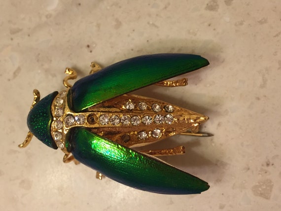 Vintage Beetle Pin - Gem