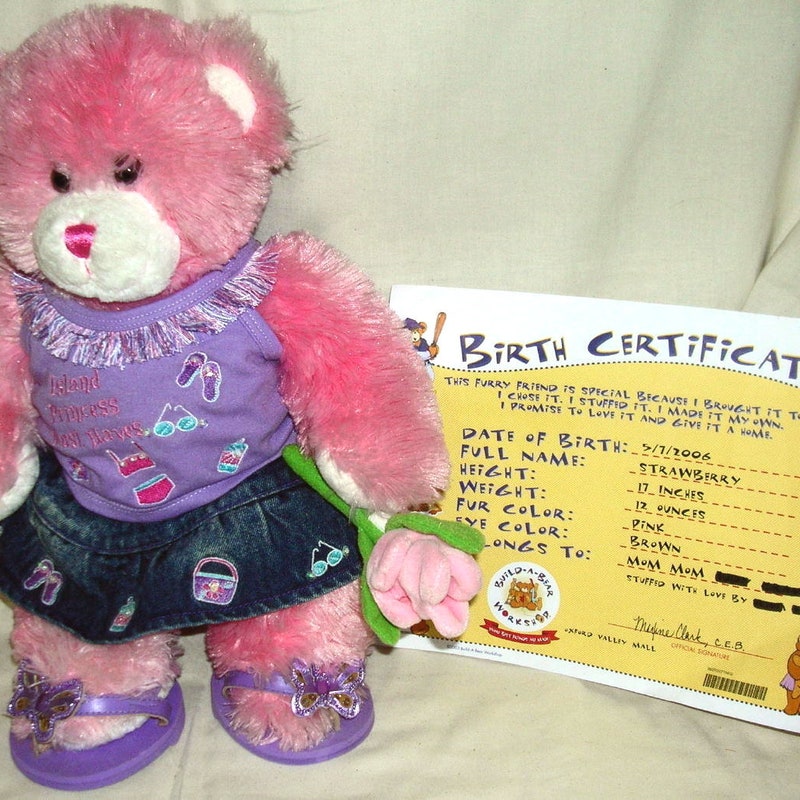Build a Bear Certificate - Etsy