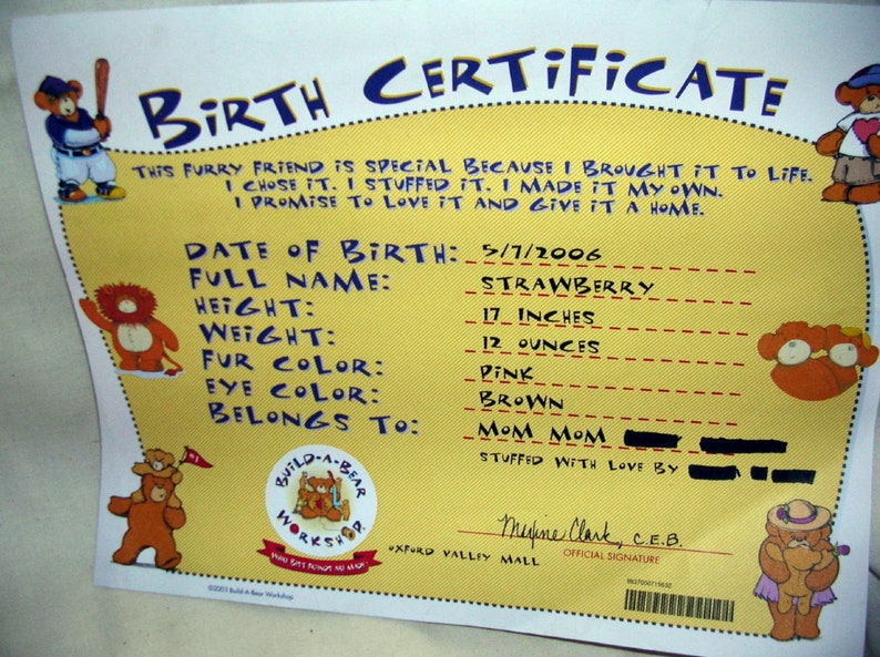 Build A Bear, Pink Fur Bear, Outfit, Birth Certificate Beach Theme Flip ...